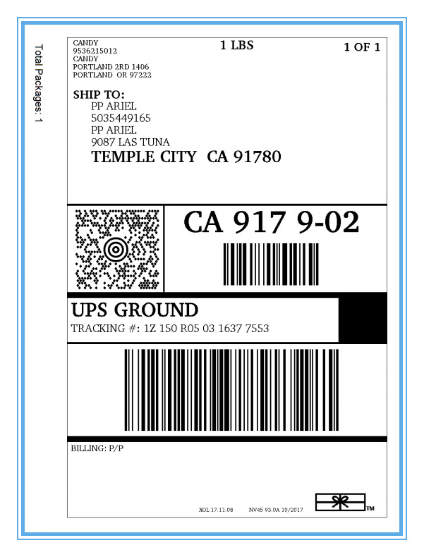 如何查询USPS Presort线路（国际经济线）的包裹物流信息？ – 邮差小马-大件海外仓专家